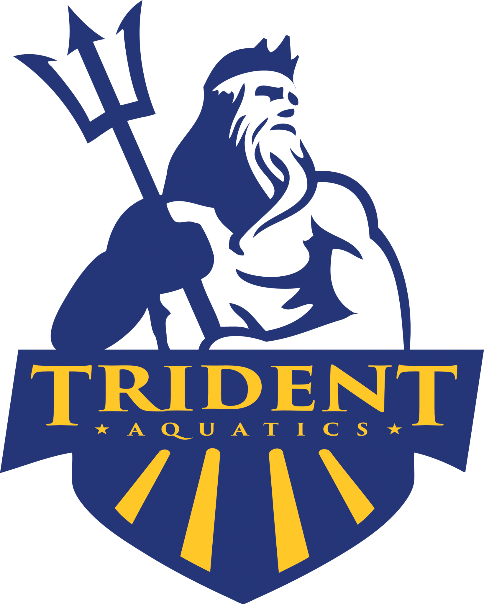 Club Trident Aquatics – A Team Will Rise